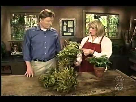 Conan O'Brien 'Martha Stewart Show (Get Crafty with Pot) 2002/5/14 ...
