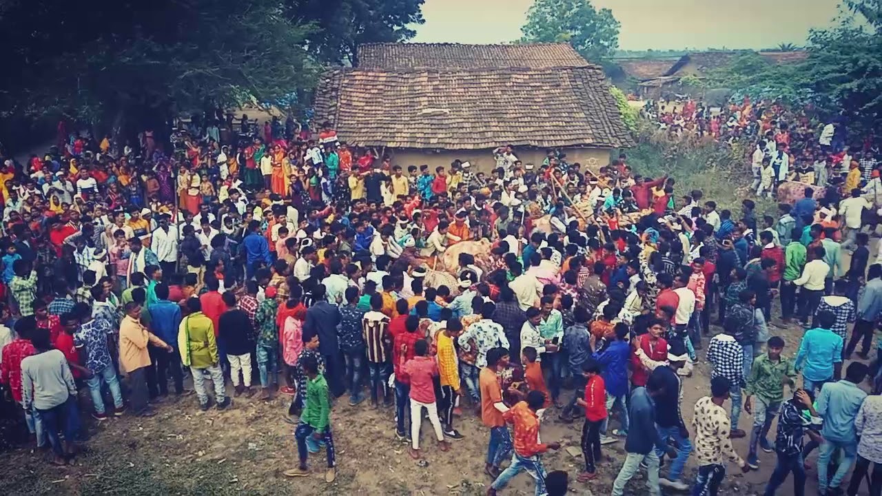 Diwali Damaka gram JhayDa me gohri 2019 - YouTube