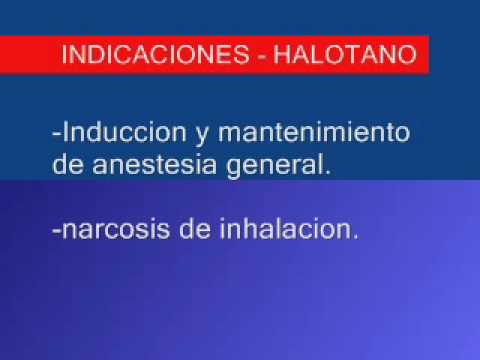 HALOTANO - YouTube