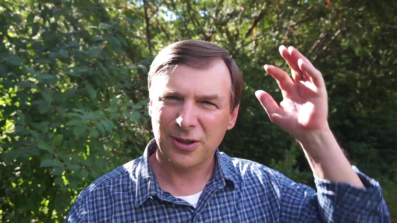 The One Year Bible with Pastor Jeff Short #212 - YouTube