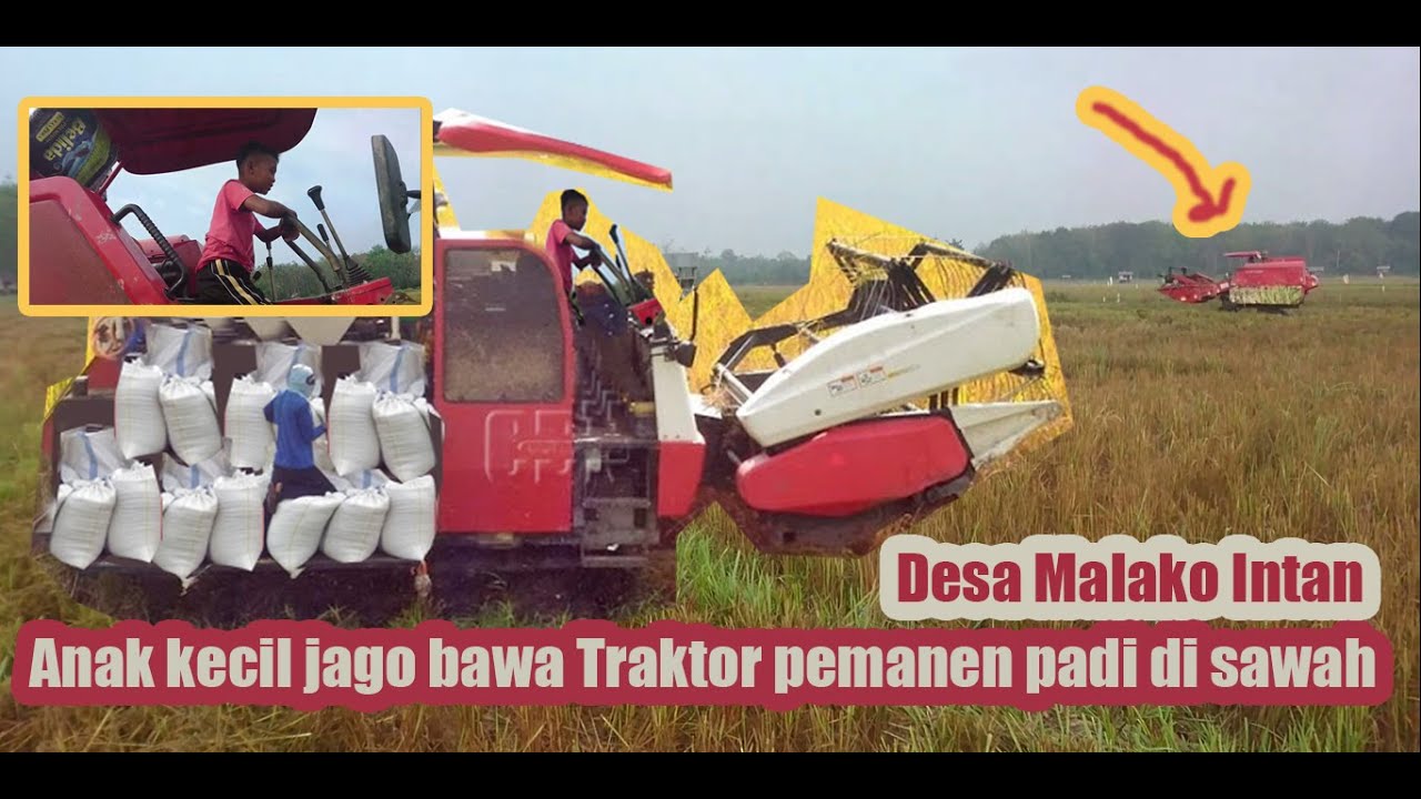Traktor Raksasa Pemanen Padi di Desa Malako Intan - YouTube