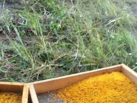 BEE POLLEN TRAPS,GA Pollen Trap Beehives,Propolis Honey bees hive ...