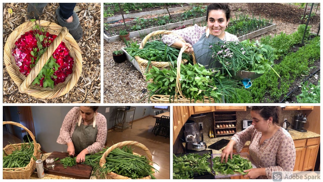 Massive Garden Harvest and Food Preservations Day - YouTube