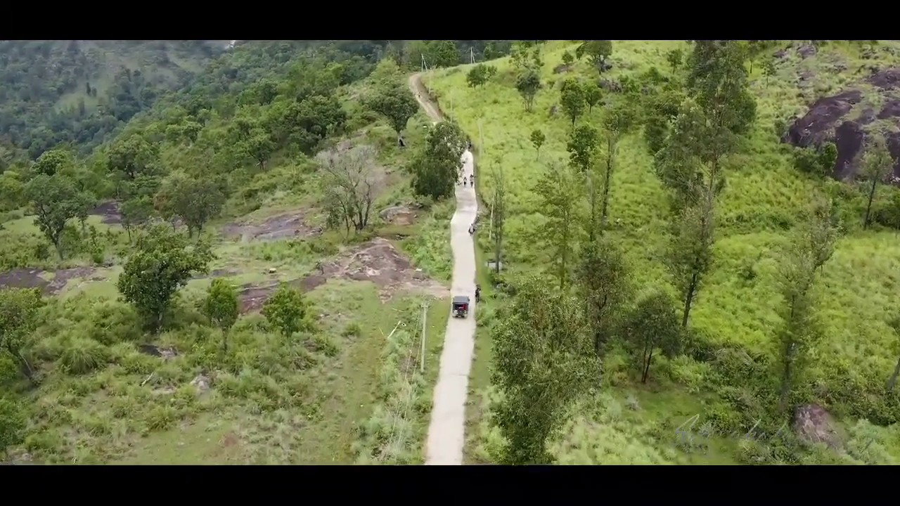 Drone Shoot In Beautiful Forest 4k Video ||ALEXPHOTOGRAPHY || - YouTube