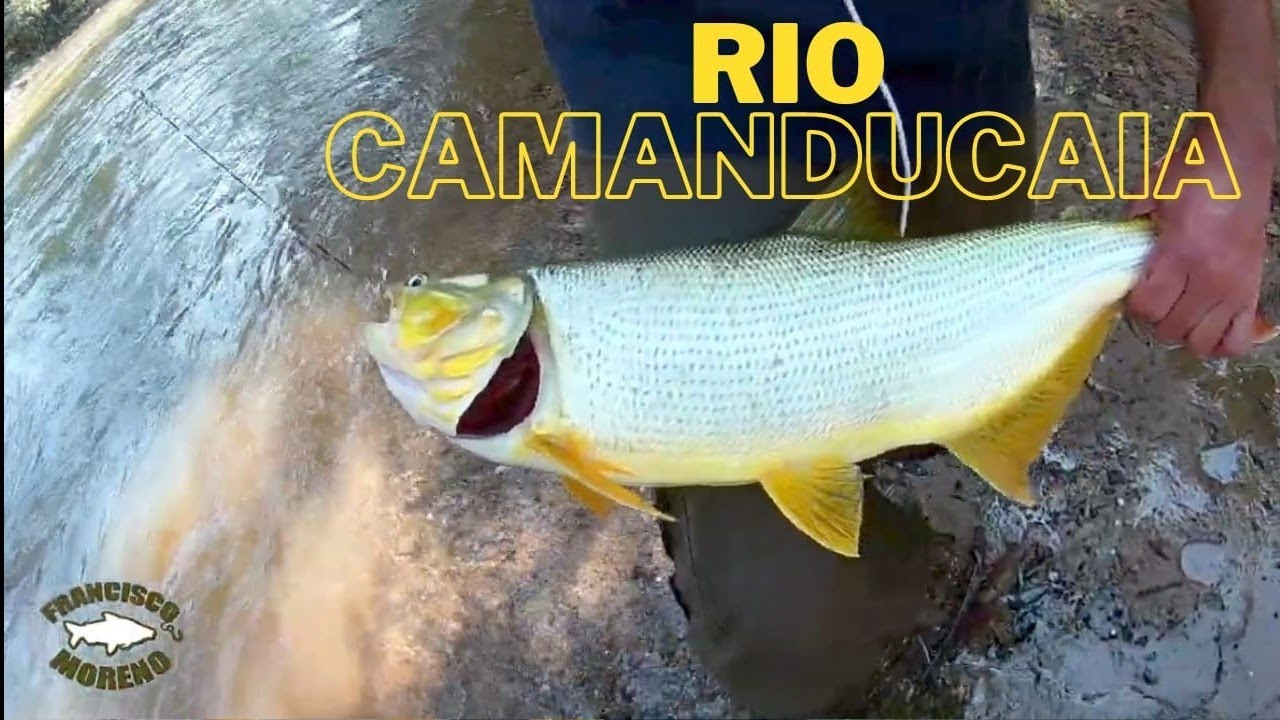 REI DO RIO NO INTERIOR PAULISTA!!!!!!!! RIO CAMANDUCAIA AMPARO S.P ...