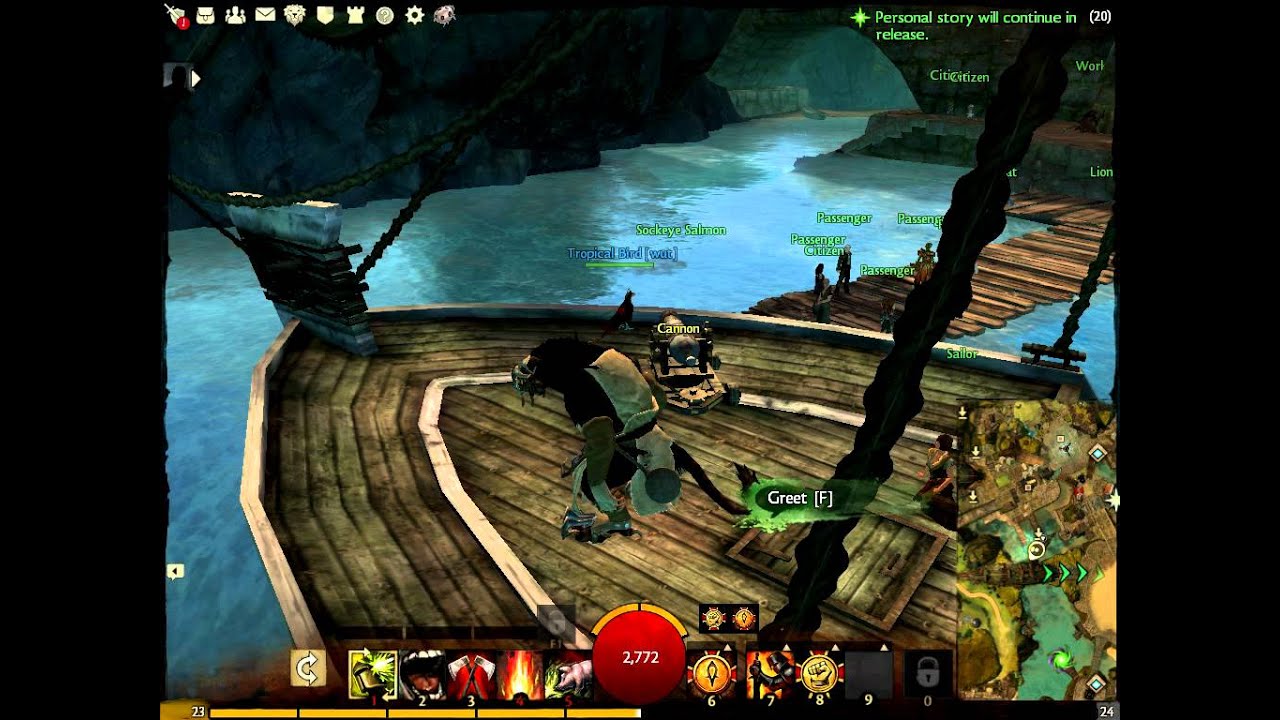 GW2 Beta - Pirate and Cook Outfit - Char - YouTube