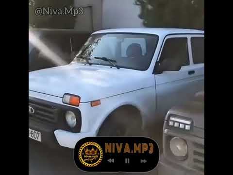 Nikotin (Azeri bass music)
