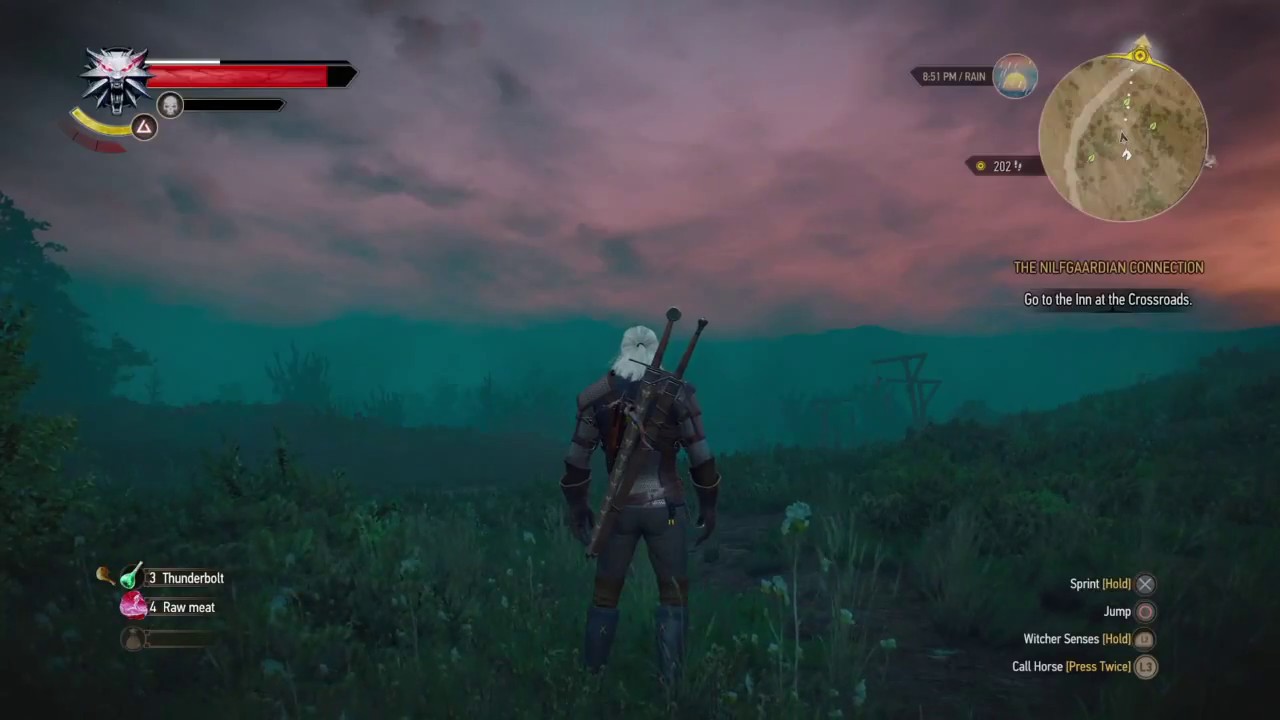 The Witcher 3: Wild Hunt - Rain - YouTube