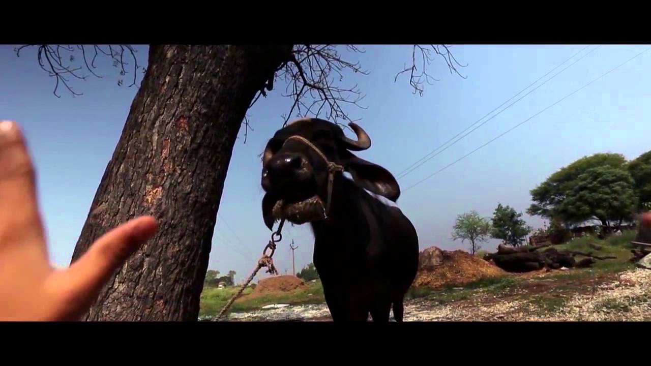 Pichchar - (Pilot Trailer) - YouTube