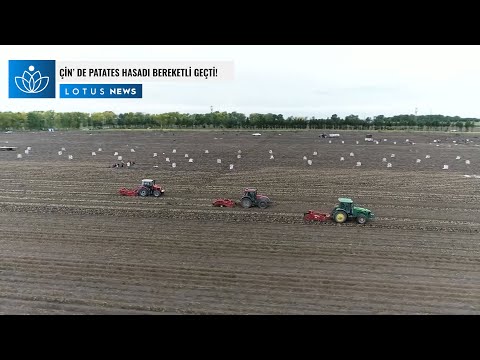 ÇİN’ DE PATATES HASADI BEREKETLİ GEÇTİ!