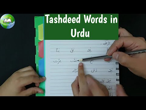 Tashdeed reading worksheet | tashdeed words in urdu | tashdeed waly ...