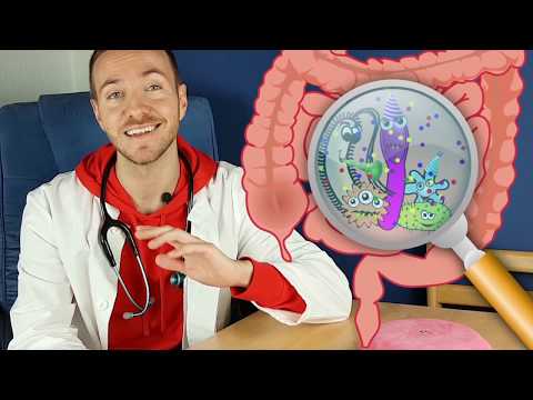 Woher kommen Pupse? für Kinder erklärt