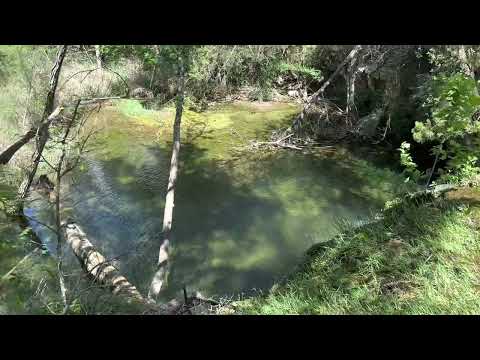 Wild basin nature preserve Austin Texas hike - YouTube