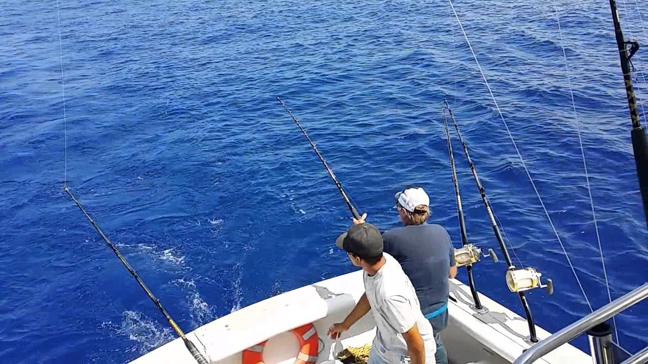 Reeling it in. - YouTube