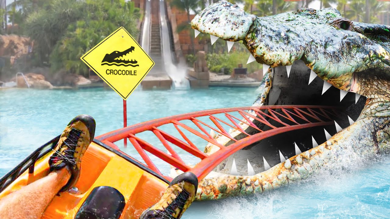 Alligator Roller Coasters Go Gator | Rides For Hire Joe White's Fun
