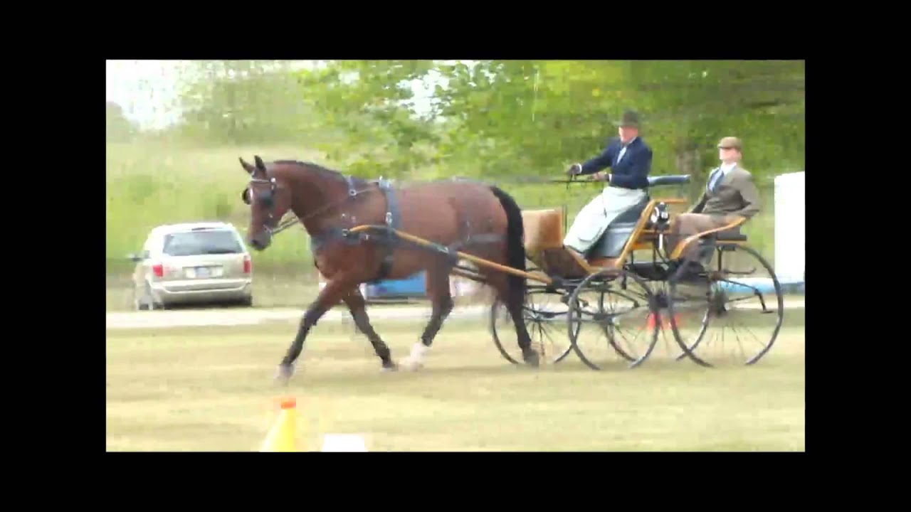 Revelry at Indiana CDE 2010 - YouTube