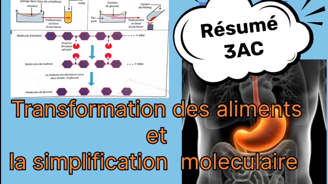 SVT🔥 La transformation des aliments et la simplification moleculaire 🔥 ...