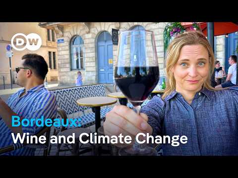 Bordeaux: How Climate Change Is Threatening a Famous Wine Region
