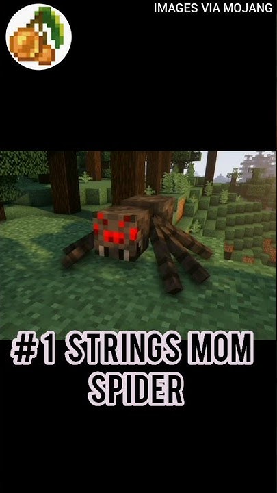HOW TO GET STRINGS IN MINECRAFT ??? #minecraft #minecraftshorts #gaming ...