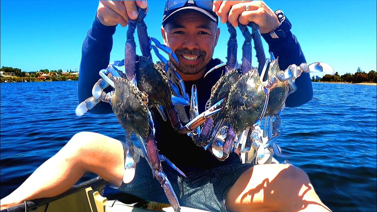Summer Loving CRABS Swan River Perth - YouTube