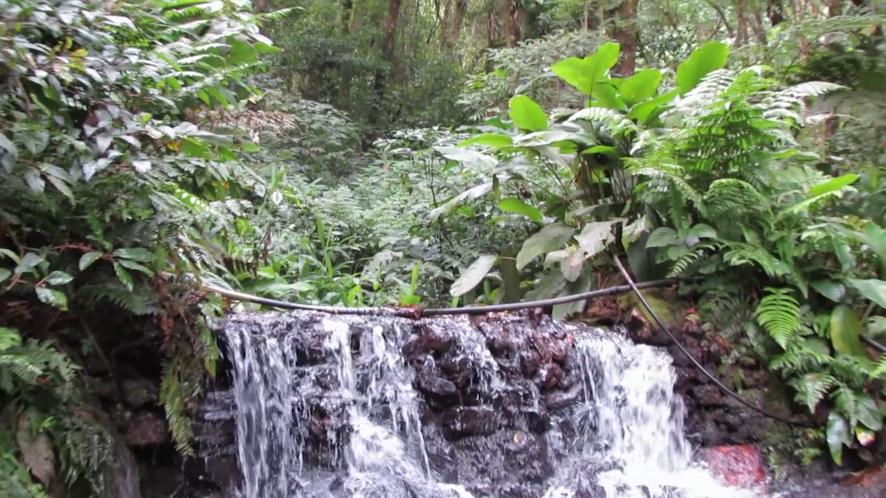 Pesqueiro Triangulo Cachoeira - YouTube