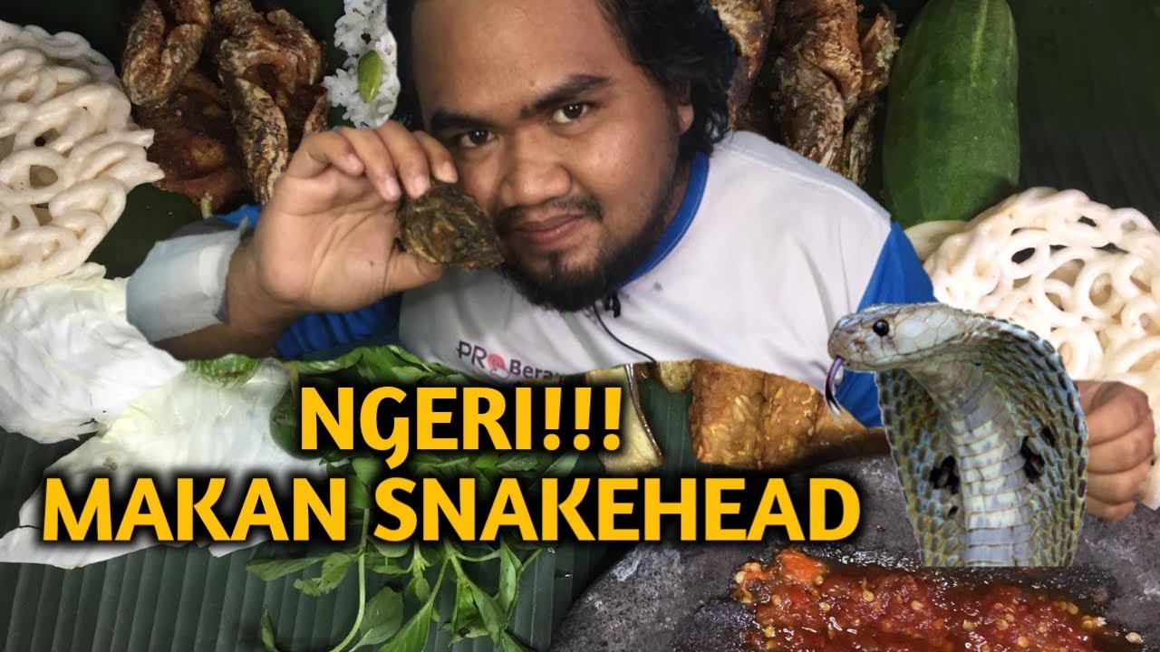 RESEP SNAKE HEAD GORENG | | IKAN HARUAN GORENG | | IKAN GABUS | | RESEP ...