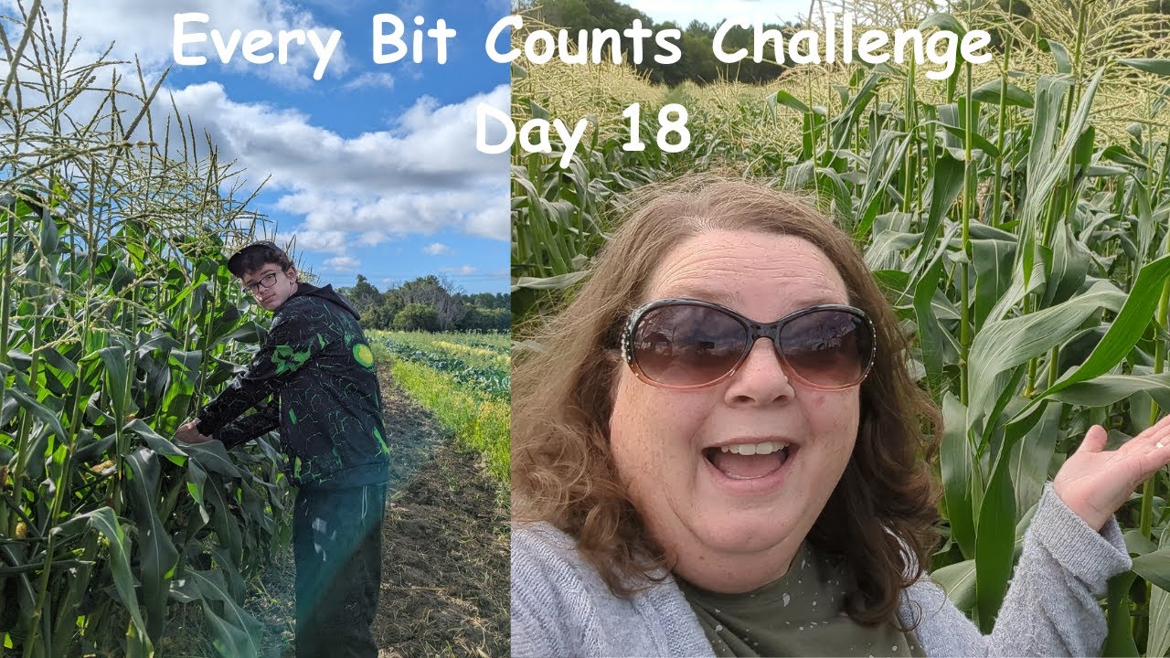 Every Bit Counts Day 18 You pick saves the day! # ...