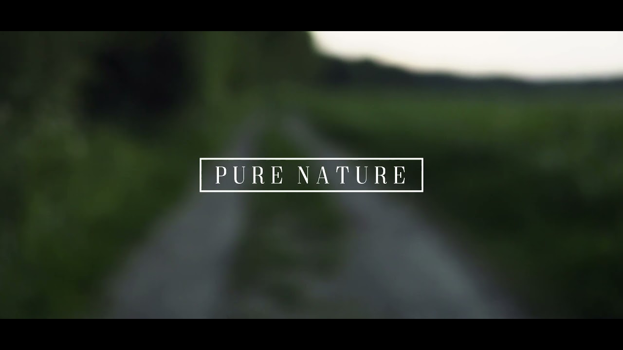 Natural View | Cinematic Video - YouTube