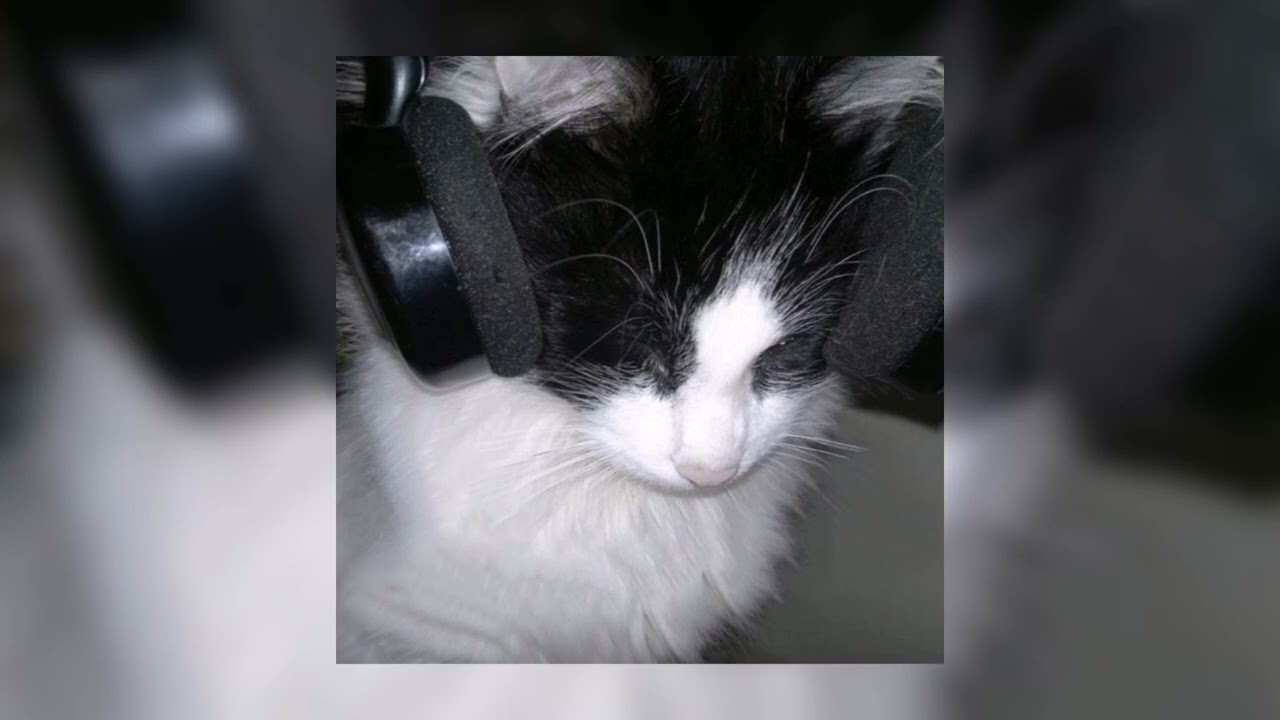 sped up edit audios ♡ pt.31 - YouTube