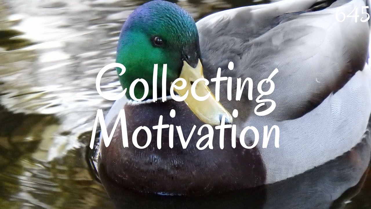 Collecting Motivation - YouTube