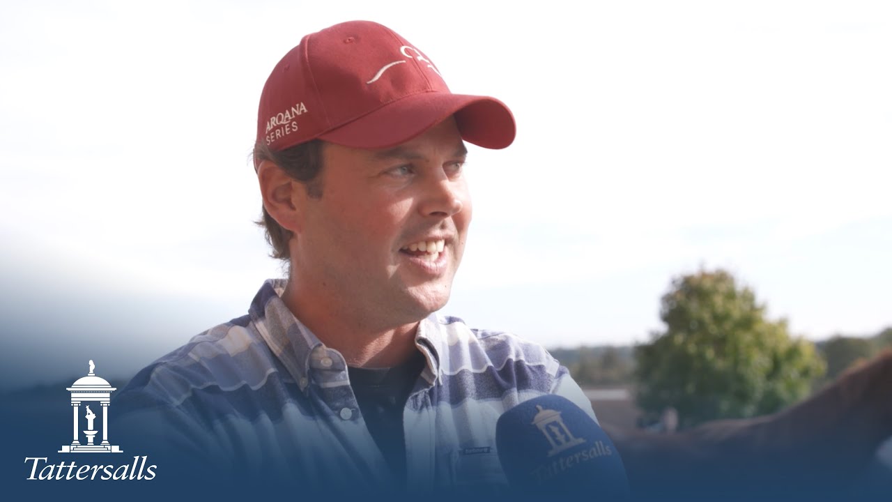 Tattersalls October Yearling Sale, Book 2 Day 2 Review 2023 - YouTube