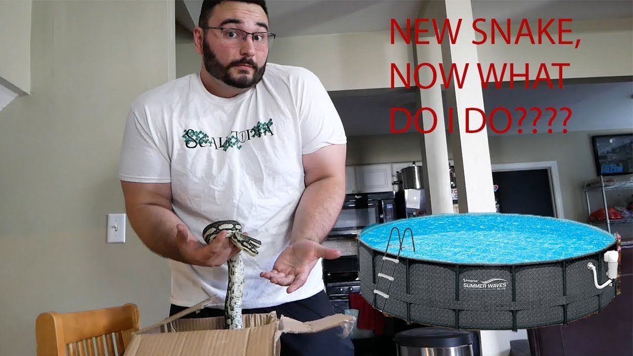 SOAKING YOUR SNAKES - YouTube