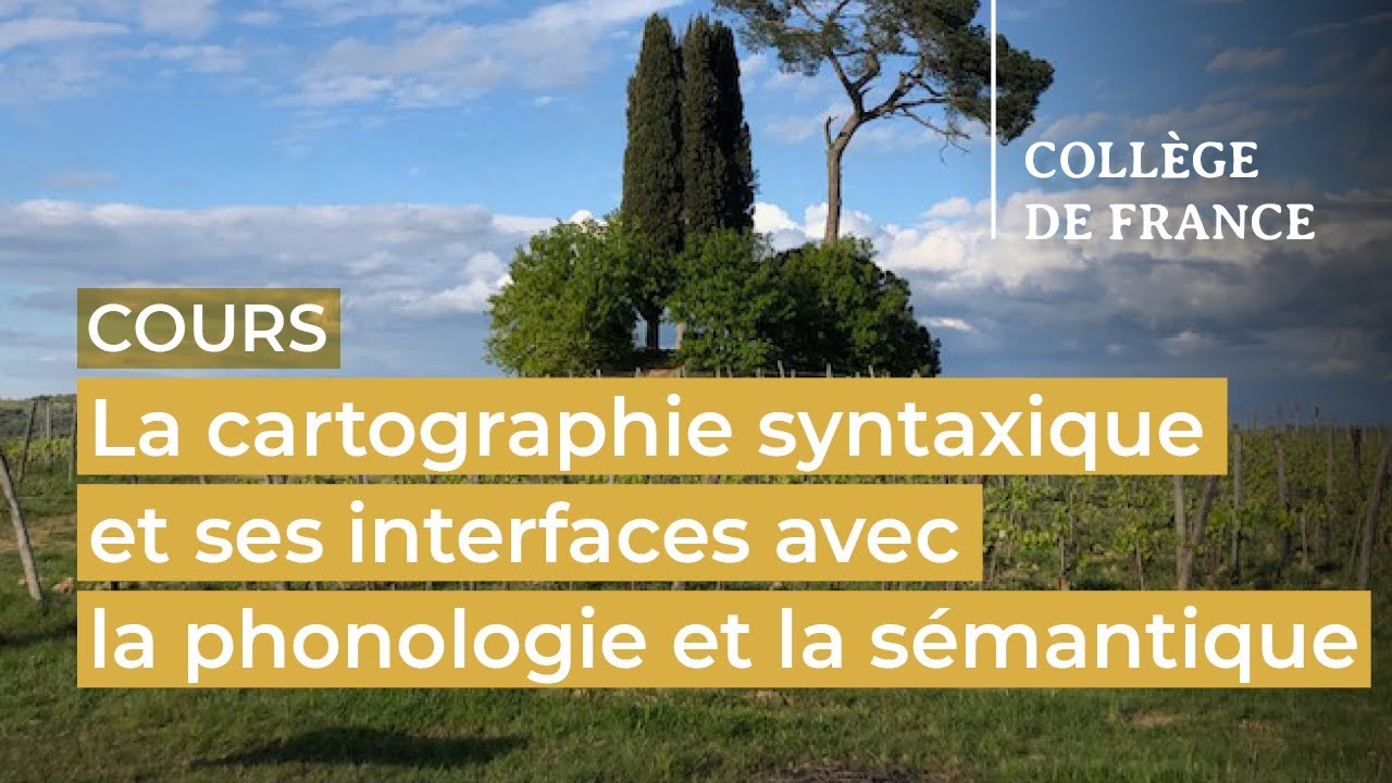 La cartographie syntaxique et ses interfaces avec la phonologie... (1 ...