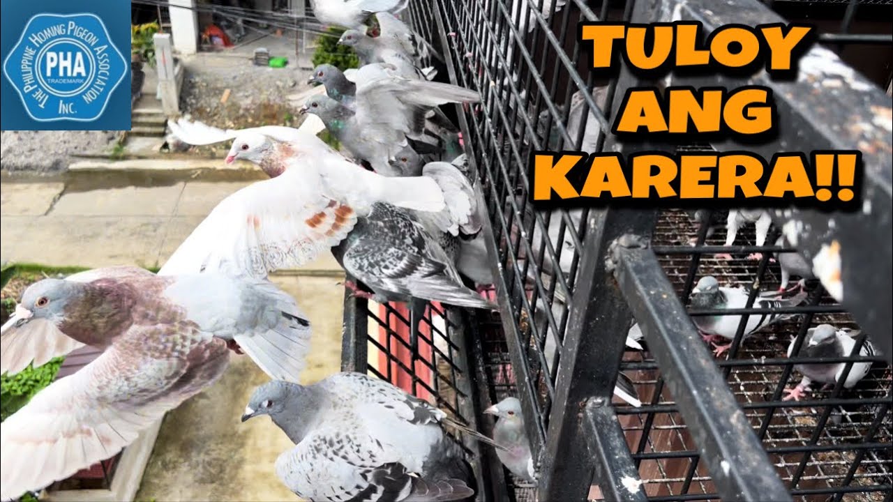 TULOY BA ANG KARERA?? - YouTube