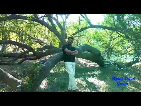 Sabuj Dwip, Hooghly, West Bengal. - YouTube