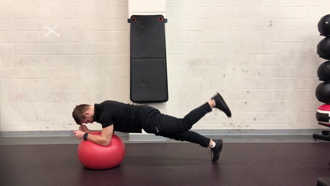 Stability Ball Plank with Alternating Leg Lifts - YouTube