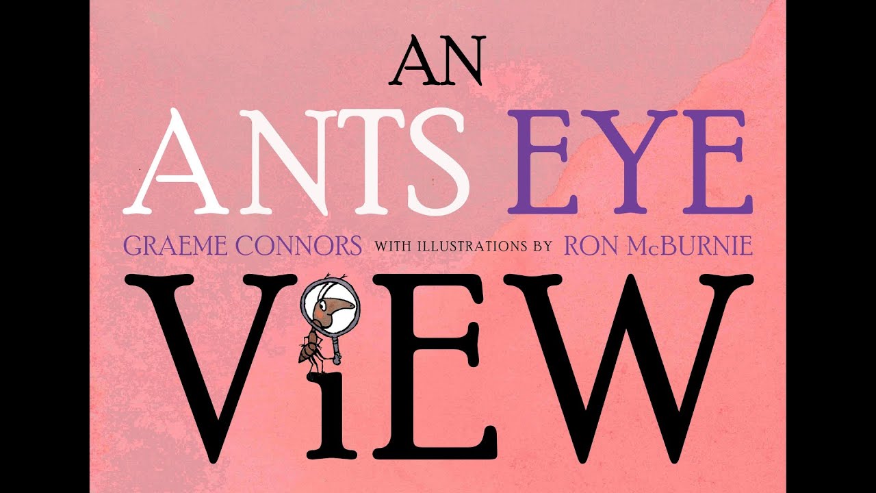 An Ants Eye View - YouTube