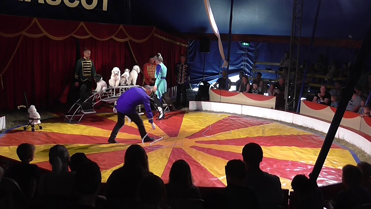 Cirkus Mascot Marannes Hunde SHOW 2018 No 2 - YouTube
