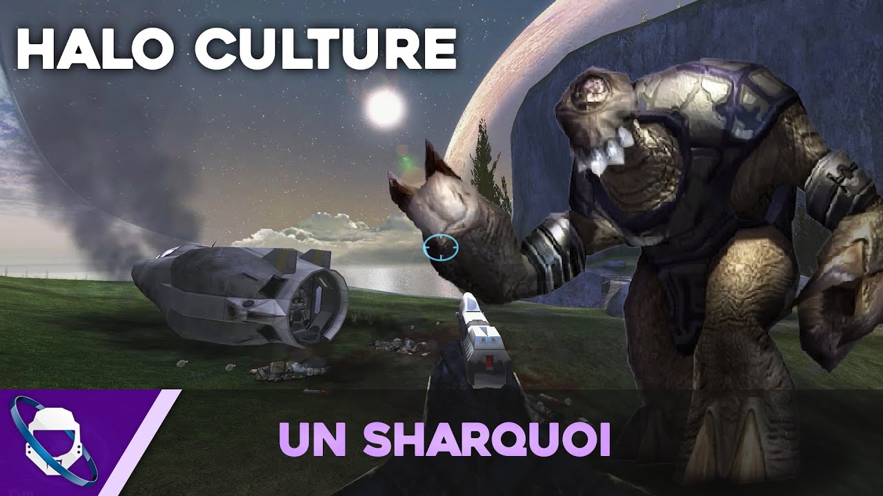 Halo Culture - Un SHARQUOI, c'est quoi ? - YouTube