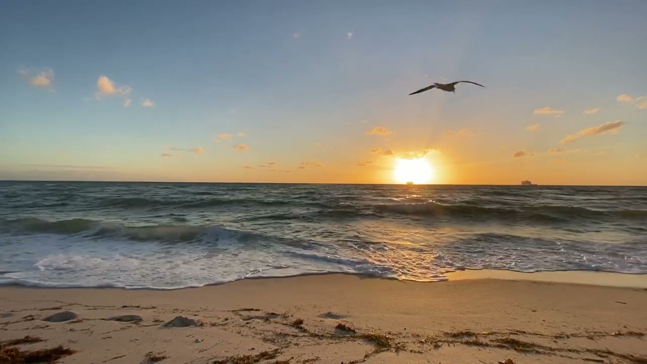 Beach Website Background Video 1080p - YouTube