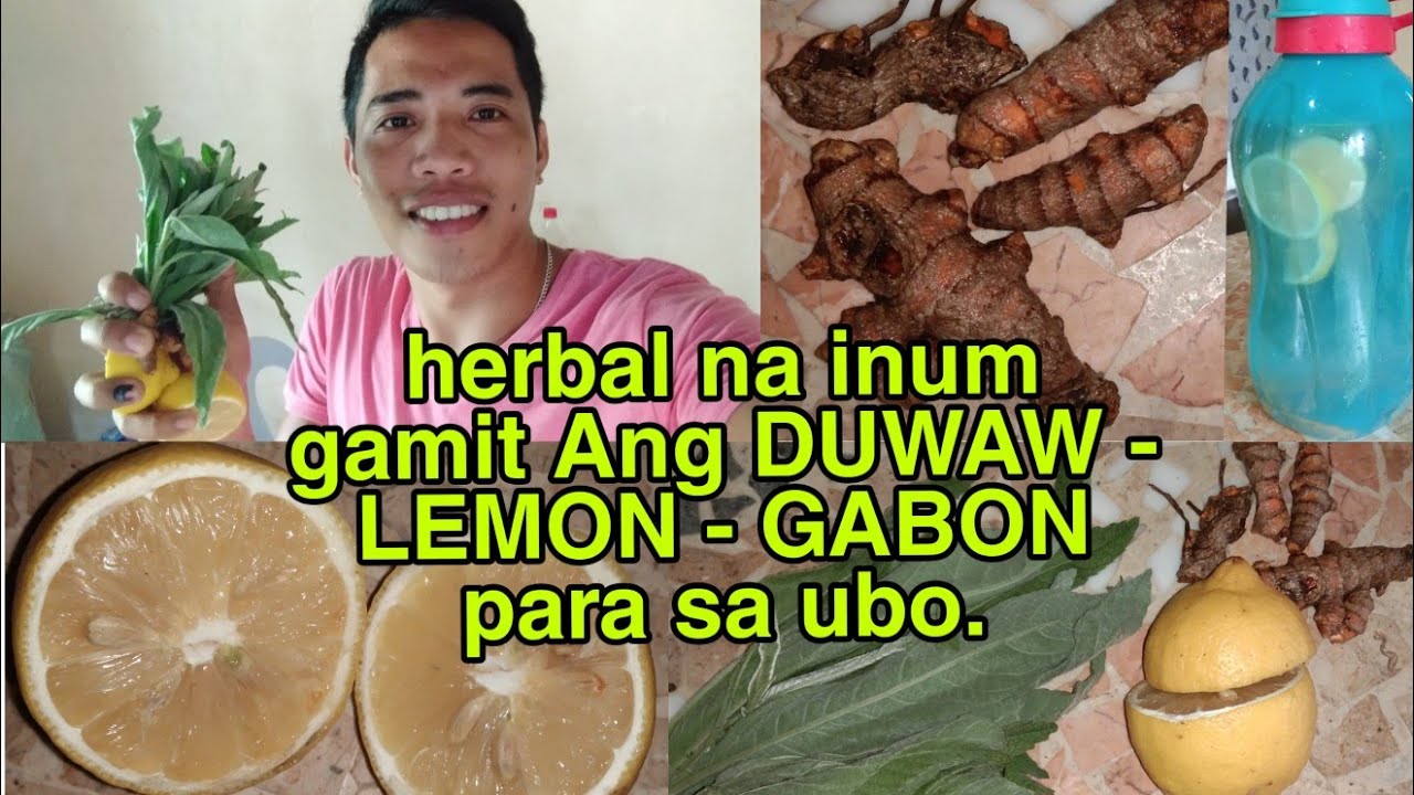 Mabisang herbal na inumin para sa ubo gamit Ang DUWAW-GABON-LEMON.# ...