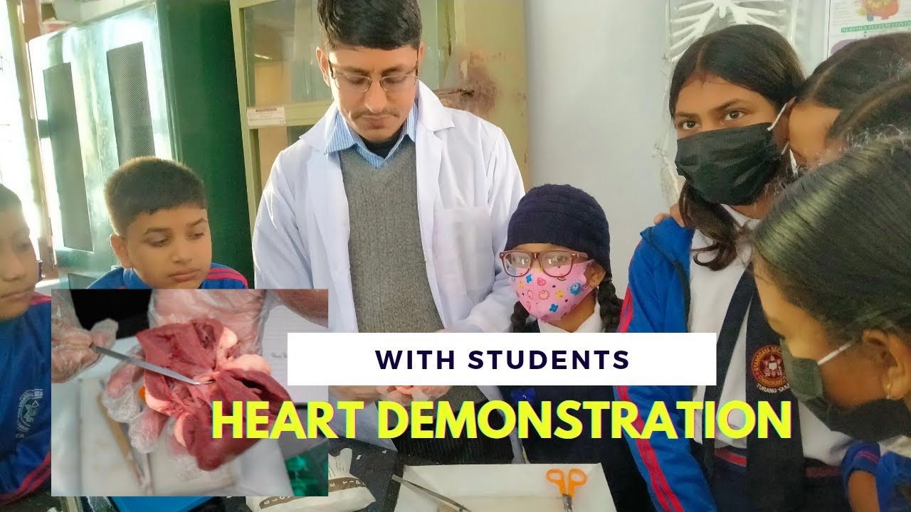 heart video demonstration || with students || enjoy the class ...