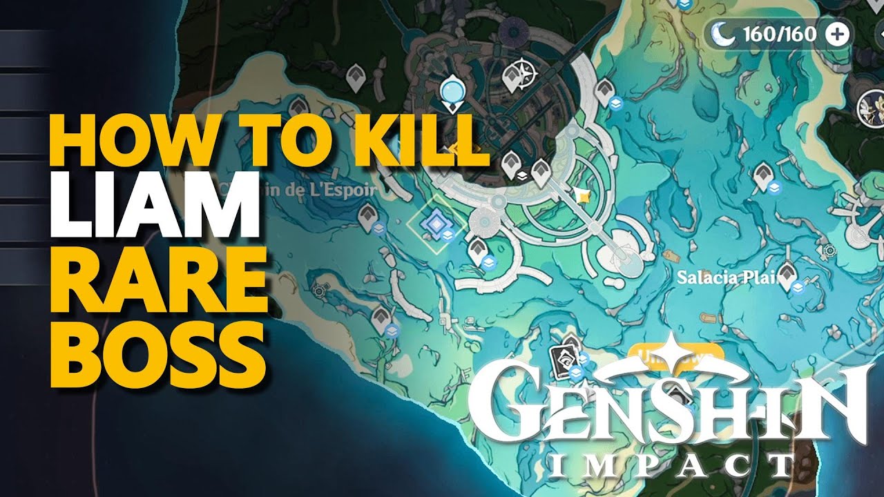 Liam Genshin Impact Rare Boss Fight - YouTube