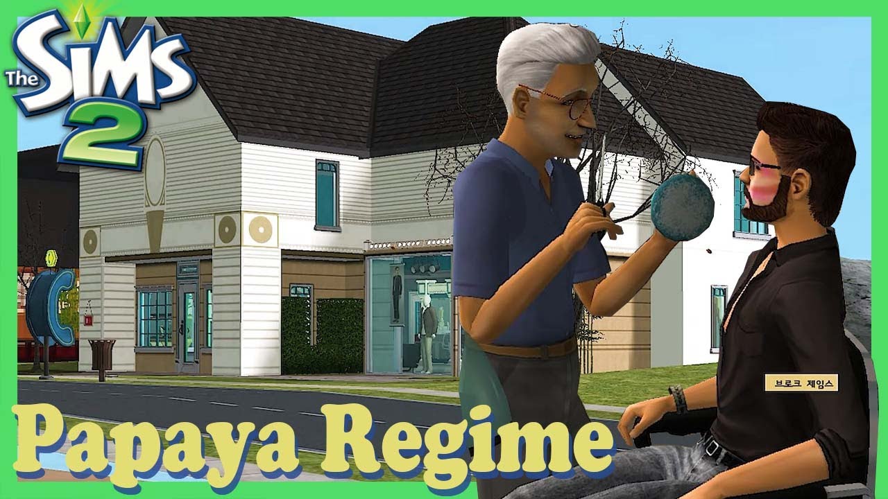 The Sims 2 Landgraab's Nursing Home in Bluewater Villiage 2 - YouTube