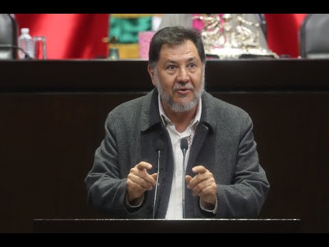 Dip. Gerardo Fernández (PT) - Comparecencia de Irma Eréndira Sandoval Secretaria de Función Pública