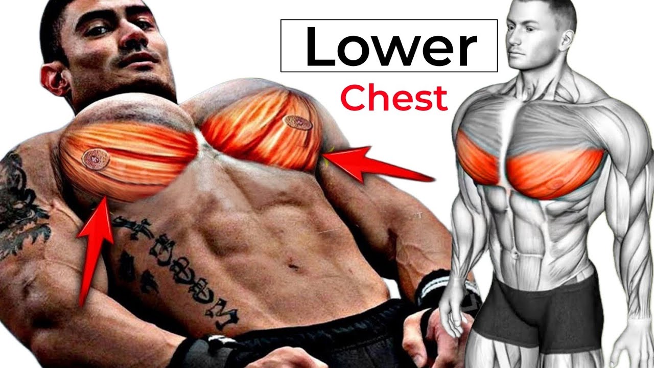 7 Best Chest Exercises Routine Target 🎯 (Lower Chest) - YouTube
