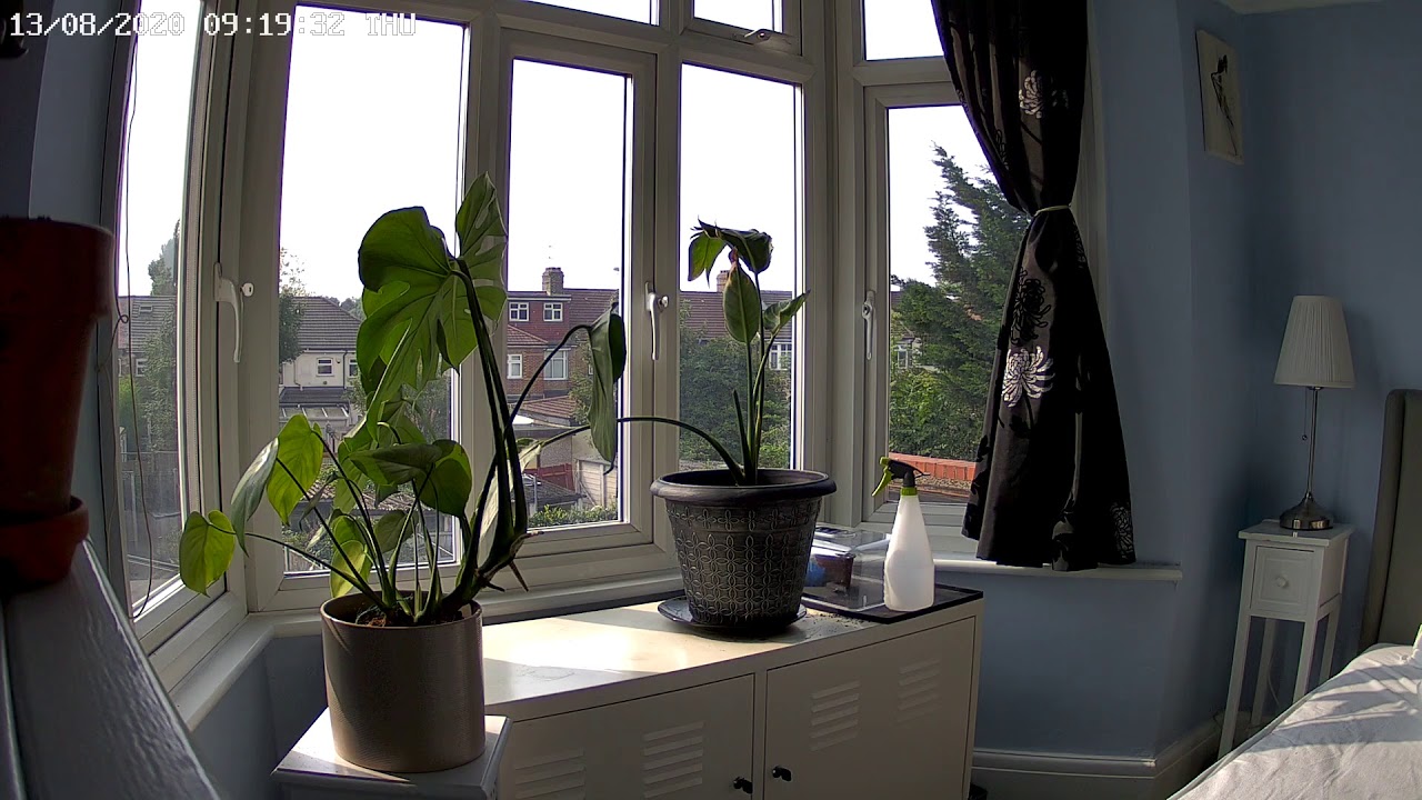 Cia Plant People - YouTube