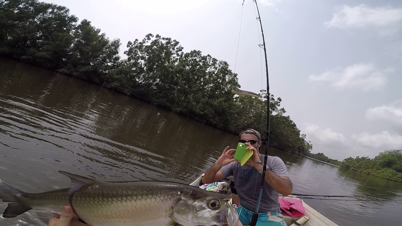 fly fishing baby tarpon - YouTube