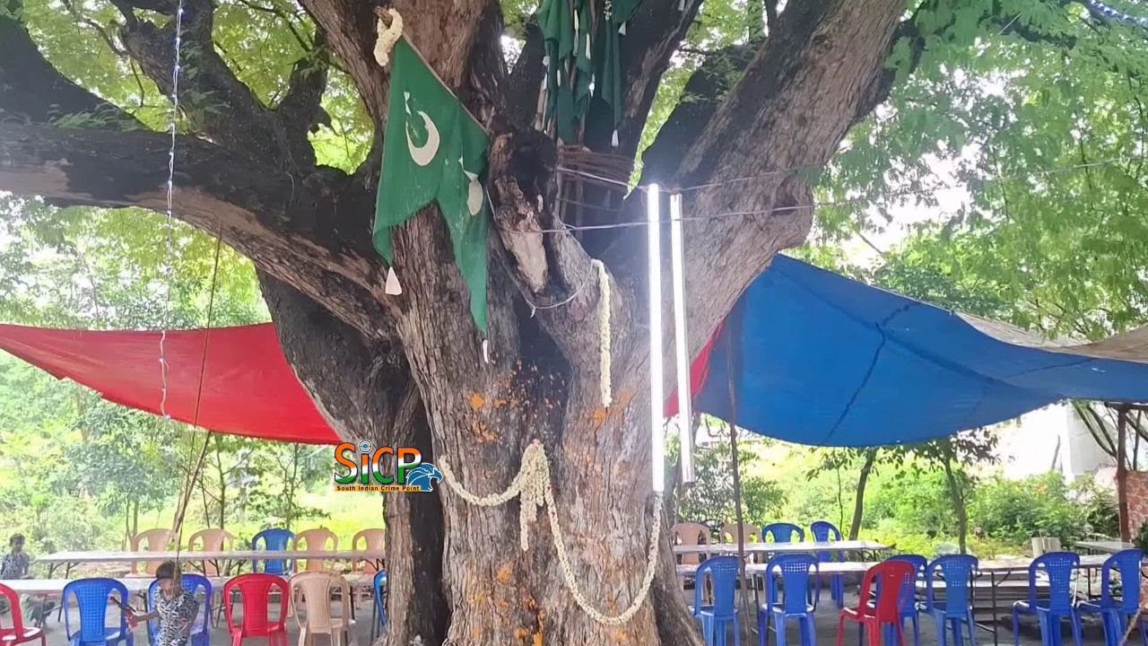 The Kanduri Festival at Natham | Dindigul - YouTube