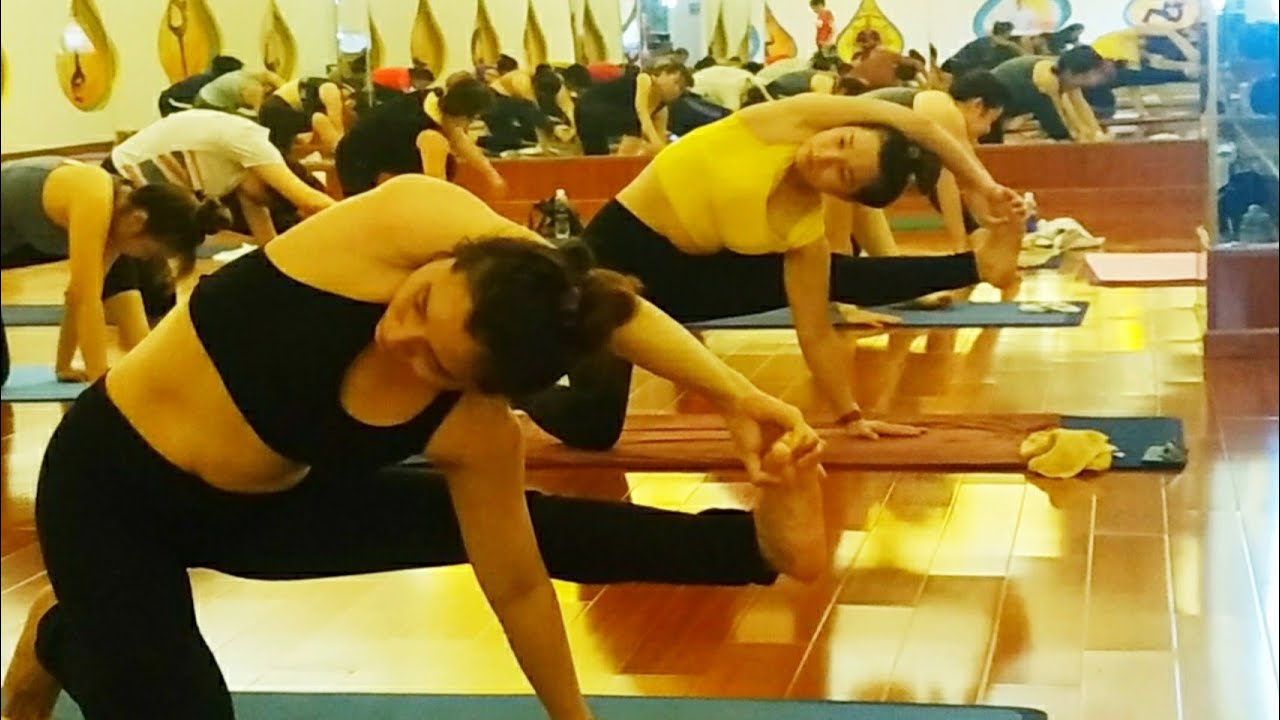 30 Minutes best flow yoga class for Beginners series -3 | Hatha flow ...